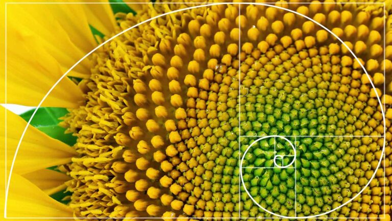 Mastering Fibonacci Sequence Advanced Dynamic Programming In Go Part Ii Sesame Disk Group